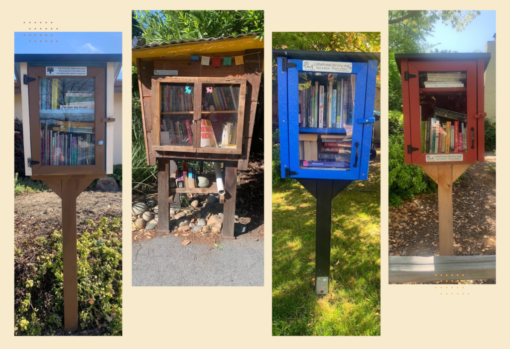 Little Free Libraries: What Local Book Exchange Says About Our ...