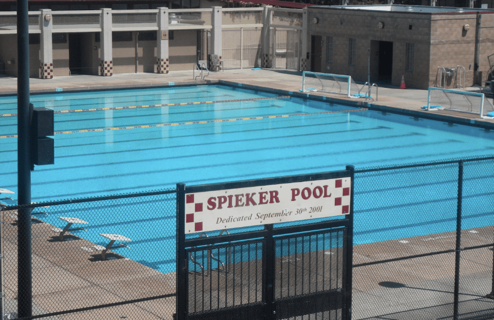 Tod Spieker ‘67 Talks Swimming, Real Estate, and Pursuing Your Passion ...