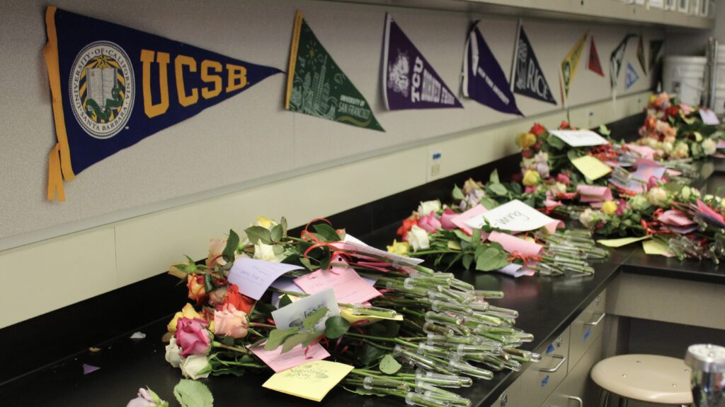 Behind AVID's Rose Gram Deliveries - M-A Chronicle