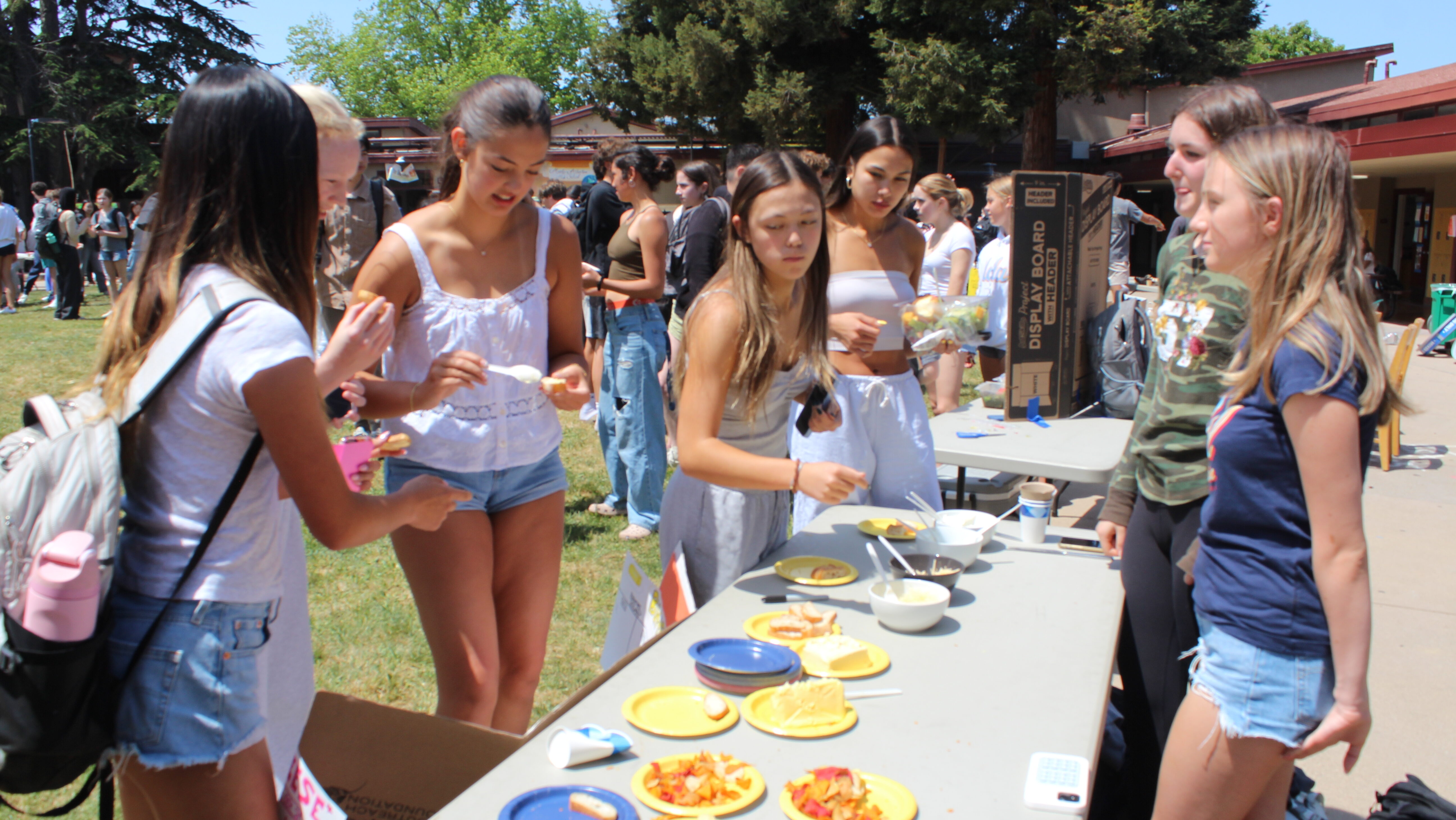 APES Students Bring Science to Life at Environmental Fair - M-A Chronicle