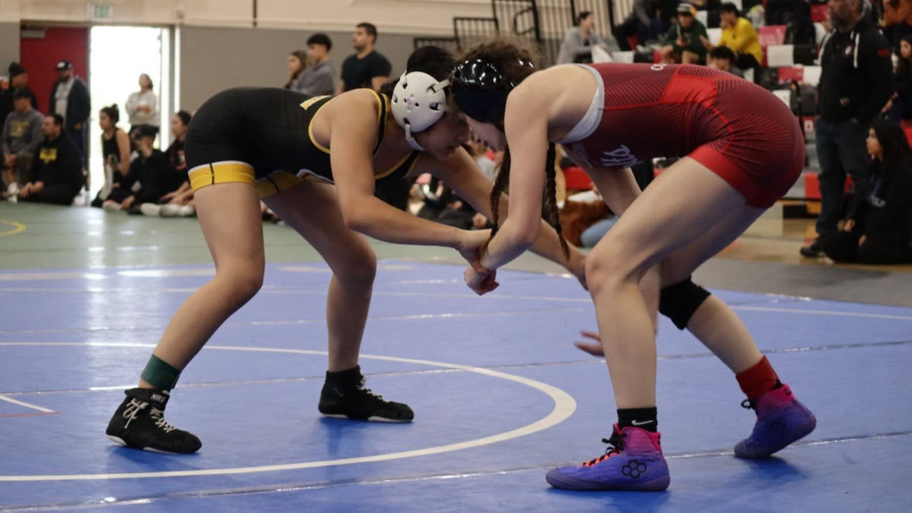 Wrestling Team Dominates in PAL Championship - M-A Chronicle